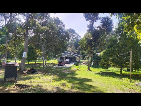 Tanah Dusun Durian + Banglo cantik di Perak untuk dijual