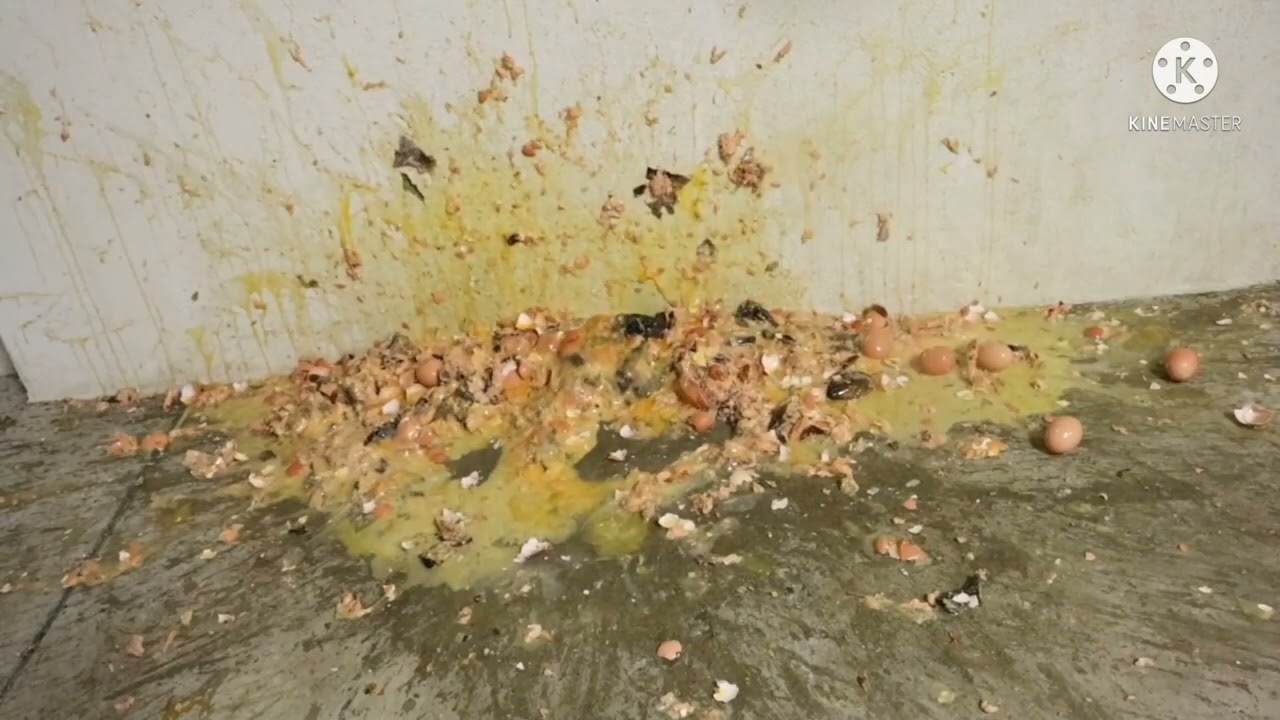 How To Skin And Debone Fish By Howtobasic (Don't Egg The Fish - My ...