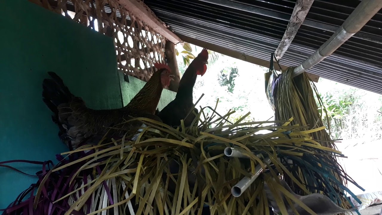 This is how mader make BANIG!!! - YouTube