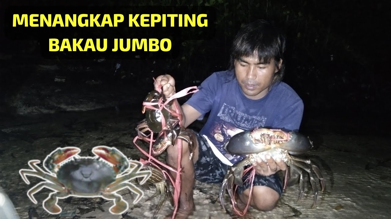 KEPITING JUMBO😱 🦀‼️MENANGKAP KEPITING BAKAU DIMALAM HARI - YouTube