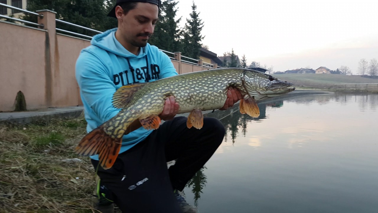 ultralight pike fishing 5+kg - YouTube