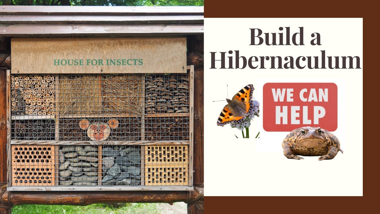 Create a Hibernaculum (Winter Shelter) For Frogs, Insects, or Snakes ...
