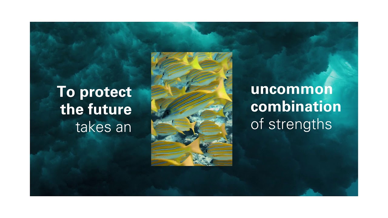 KPMG Cyber Security Services - our promise - YouTube