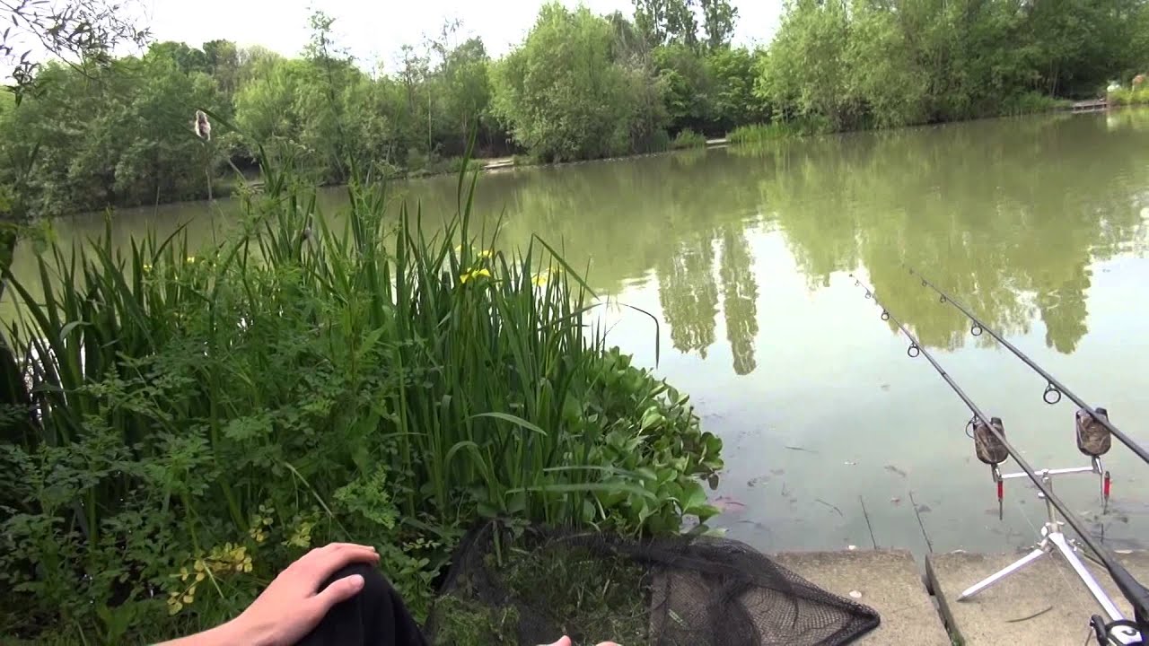 FRAMFIELD PARK FISHERIES, UCKFIELD, E. SUSSEX - YouTube