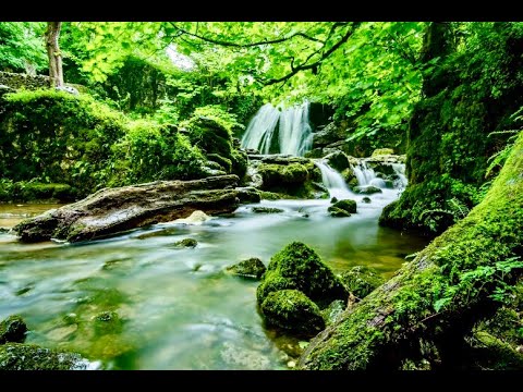 Relaxation Chillout Music - Nature Scenes & Sounds - YouTube