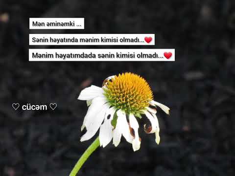 vay ginemi keder ... 🕊 / qəmli status / ağlamalı status / mənalı sözlər / 🕊
