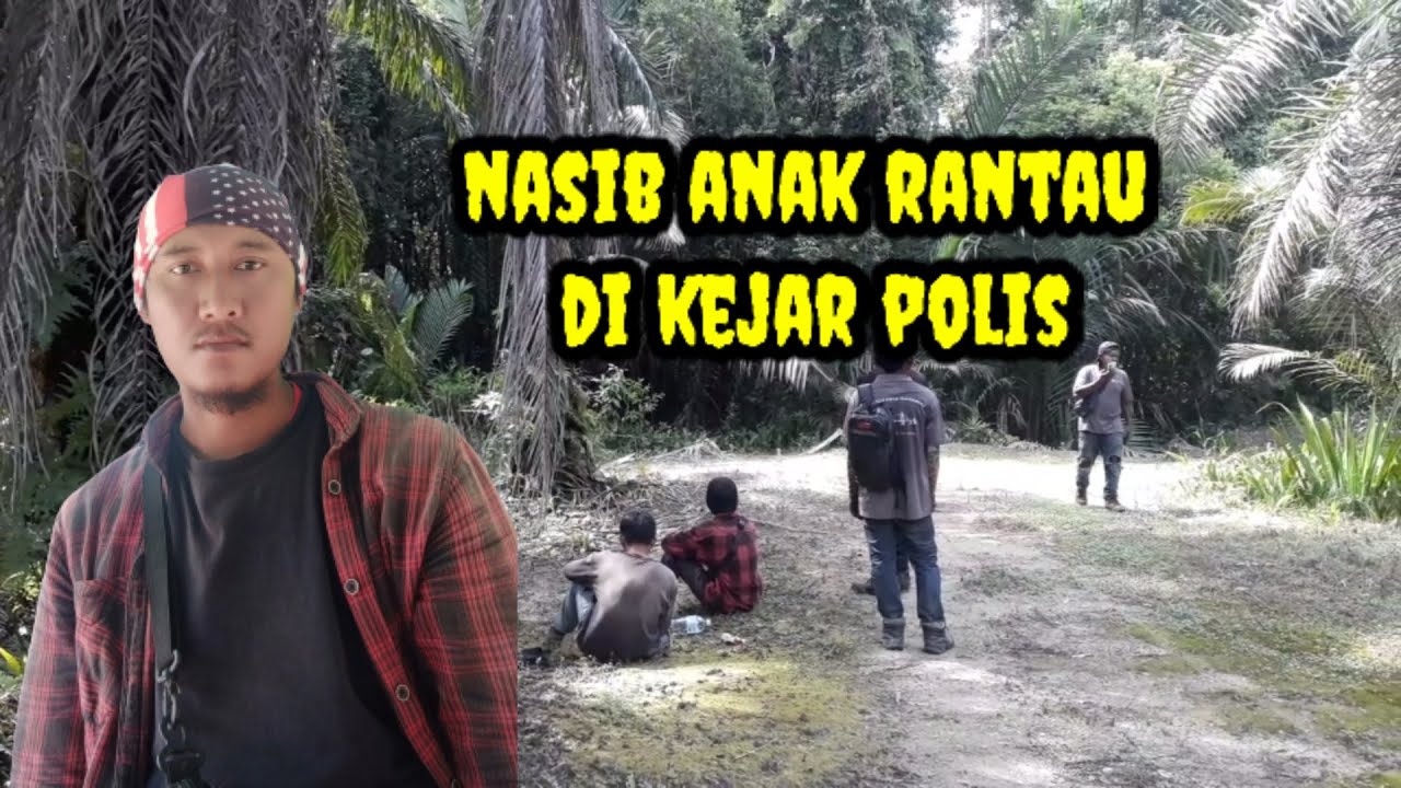 Nasib anak rantau di kejar polis lari ke hutan sawit.... - YouTube
