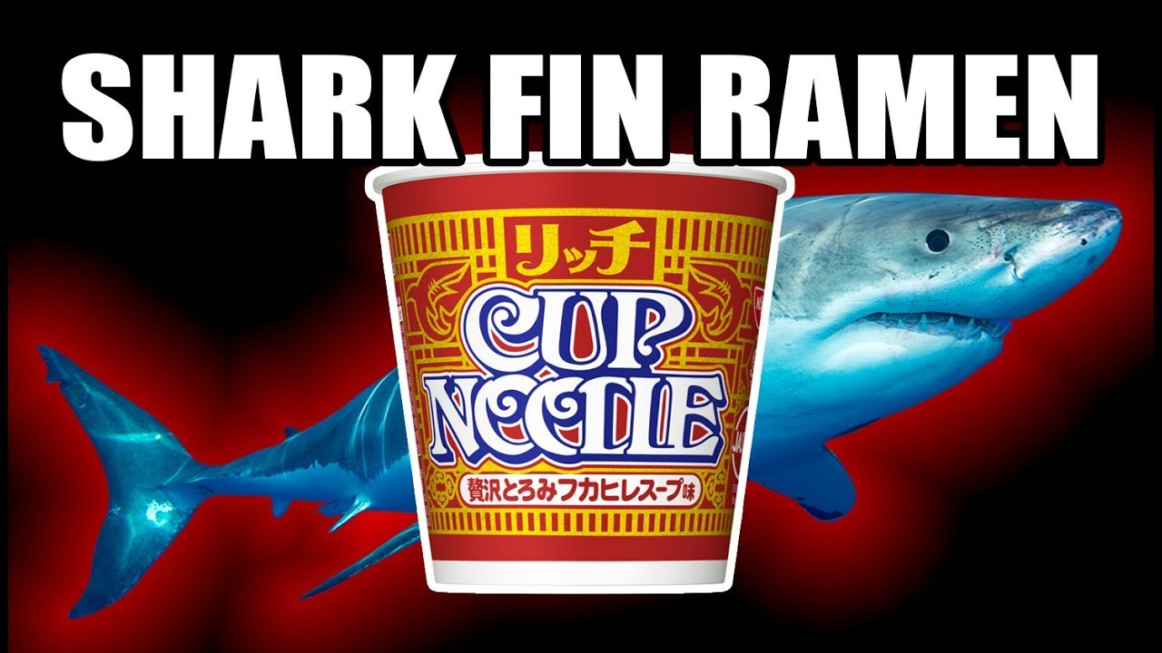 Shark Fin Ramen Noodles - What Are We Eating?? - The Wolfe Pit - YouTube