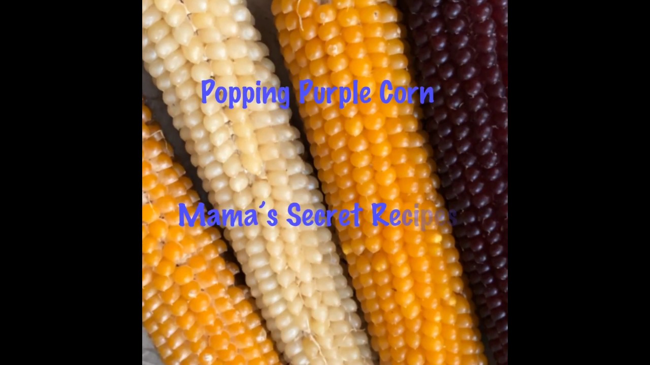Popping Purple Corn - YouTube