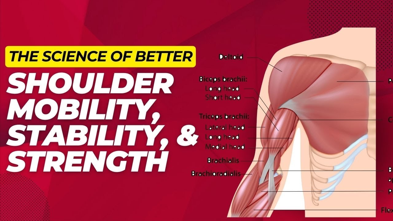 How To Use Science To Improve Shoulder Strength, Stability, & Mobility ...