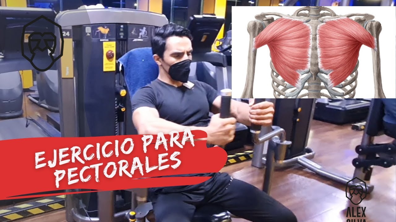 ¿Cómo hacer cristos en máquina en el GYM? Para pectorales más fuertes ...