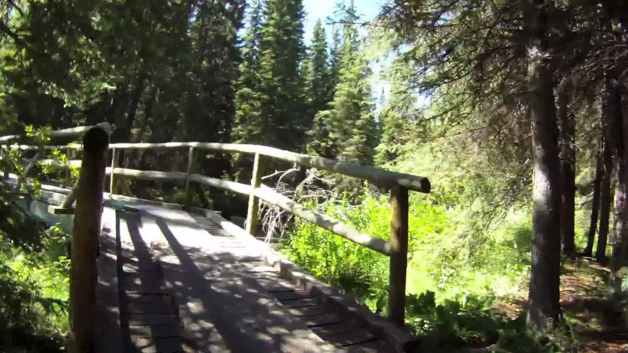 Mountain Biking Fenland Trail, Banff GoPro HD - YouTube