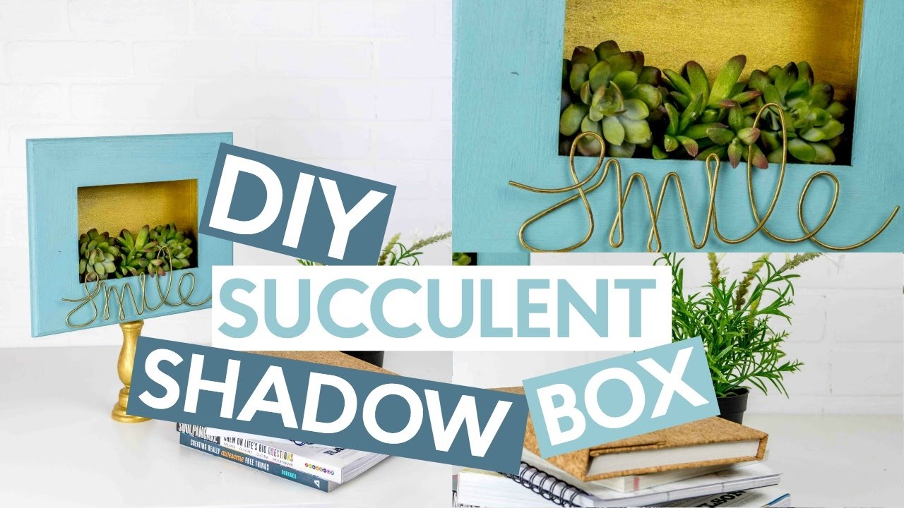DIY Succulent Shadow Box - YouTube