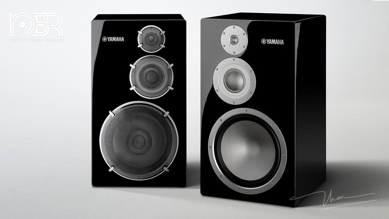 Audiophile Setup: How to Build the Perfect Sound System - YouTube