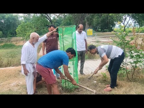 Harishankari Tree Plantation in Azamgarh | Hariyali Month Celebration ...