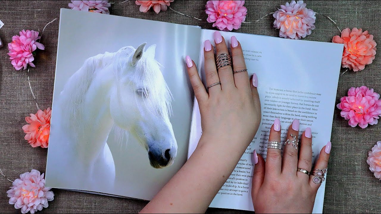 ASMR Book Page Turning & Tracing 📖 Book Scratching & Brushing 🖌 Soft ...