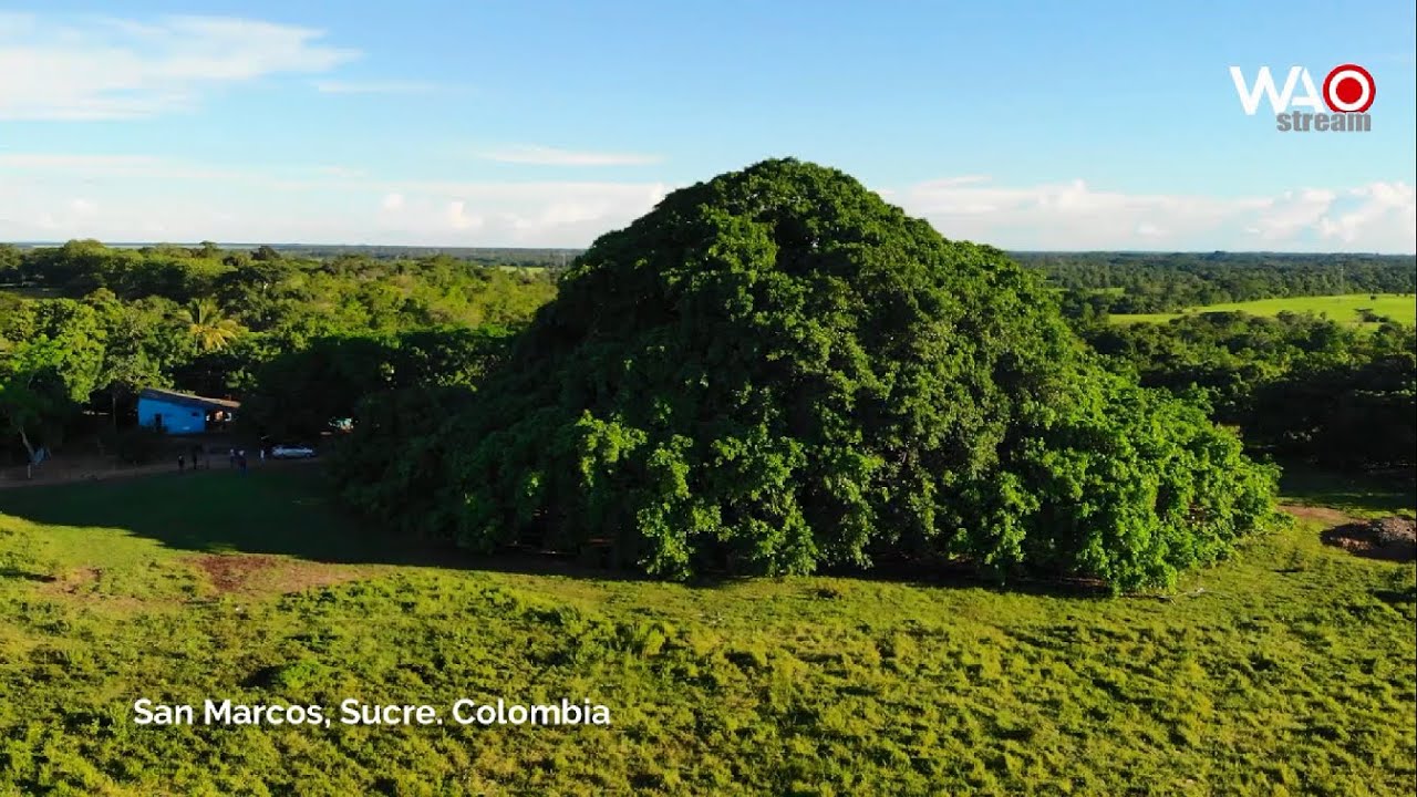San Marcos, Sucre. Colombia - YouTube