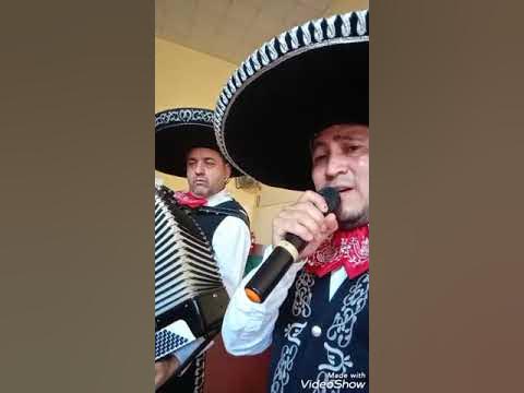 Mariachi Norteño en Valencia ofreciendo una serenata Volver Volver ...