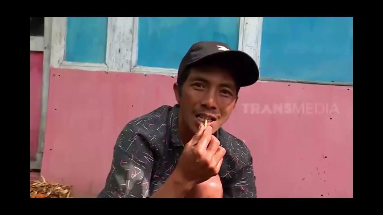 Dear Bapak Bapak, 5 Rempah-Rempah ini Bikin "Long Play" - YouTube