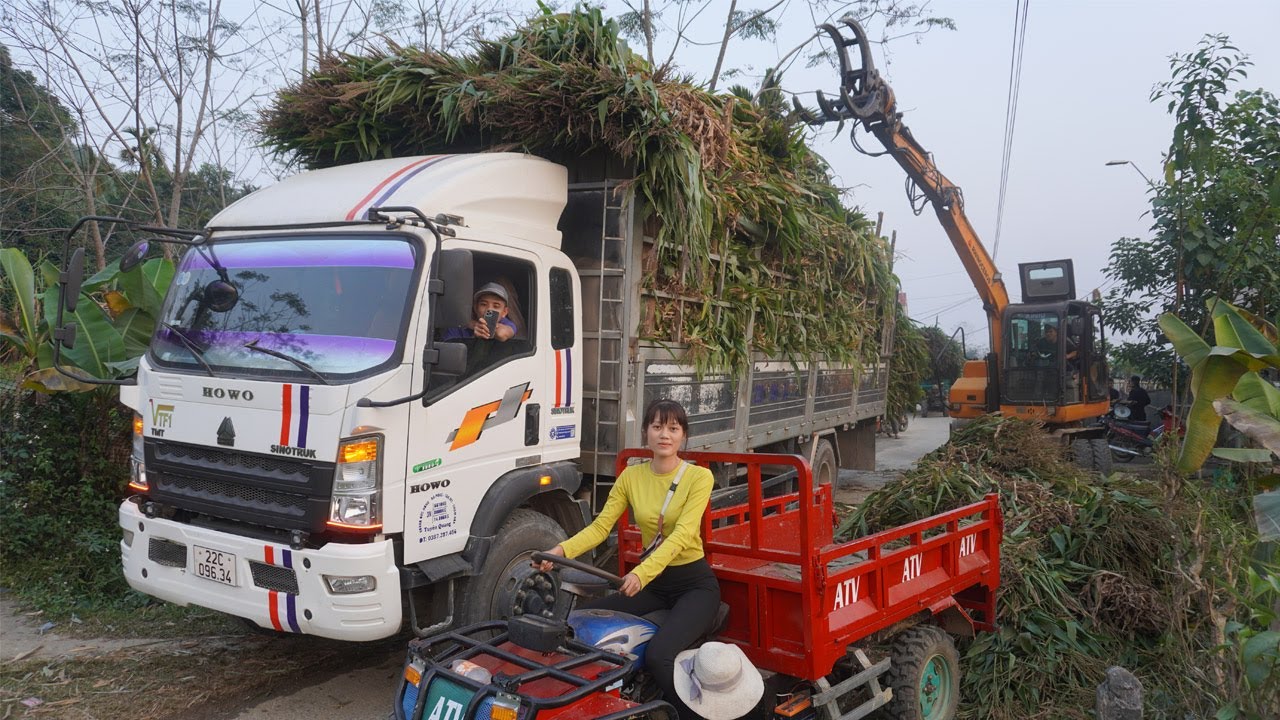 Use 4-wheeled Vehicle Trucks shipping corn for sale - Harvest plants ...