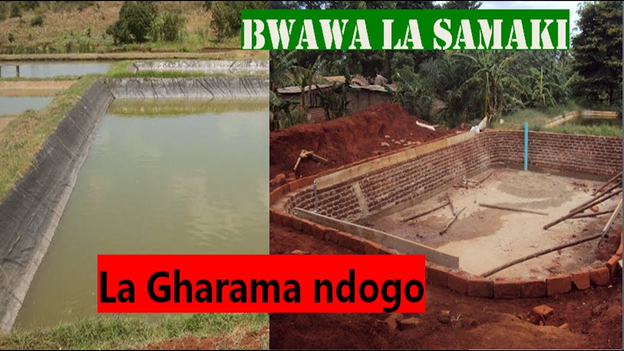 Ujenzi wa gharama nafuu wa mabwawa ya samaki.Ufugaji wa samaki katika ...