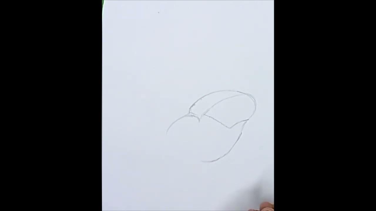 how to draw shell using pencil #easydrawing |~ - YouTube