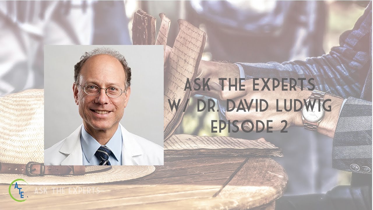 Ask The Experts w/ Dr. David Ludwig Ep. 2 - Let's talk about Fat - YouTube