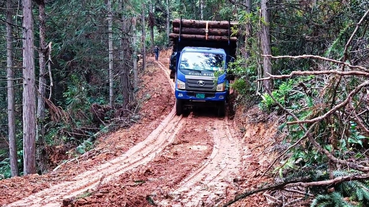 Fully loaded wood logs truck driving down an off-road slippery mud hill ...