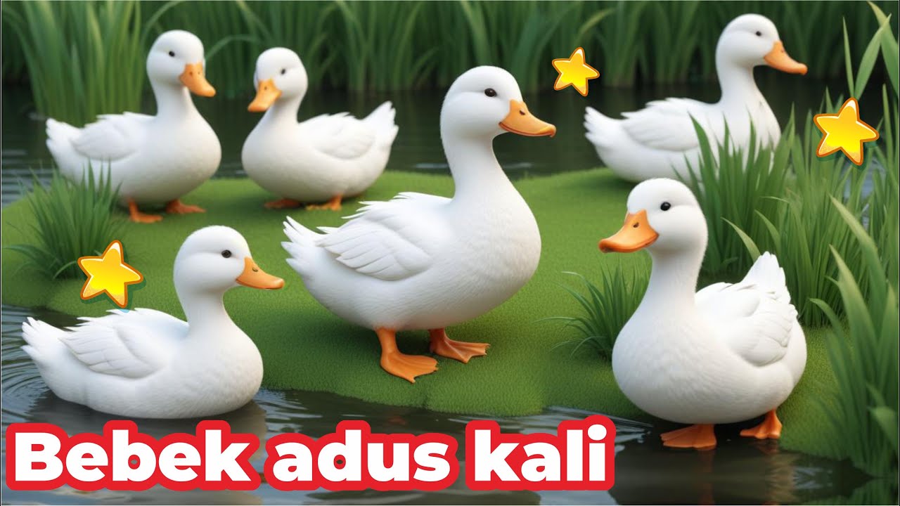 Bebek Adus Kali Nyosori Sabun Wangi Bapak Mundhut Roti Video Bebek ...