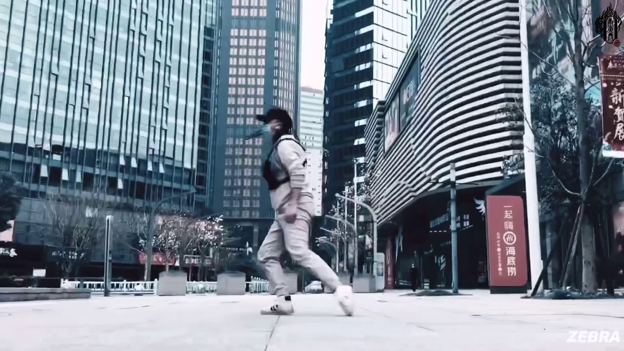 China shuffle Zebra & Fzi - YouTube