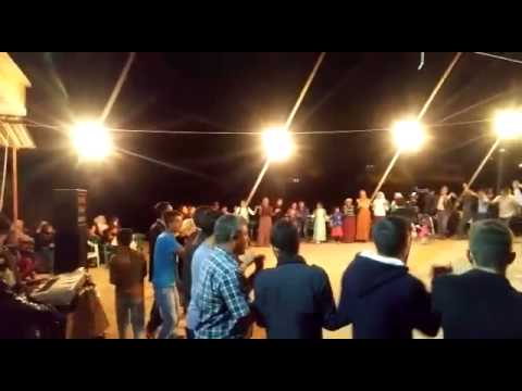 Dayı Yeğen Saz Grubu Tut Bayılda