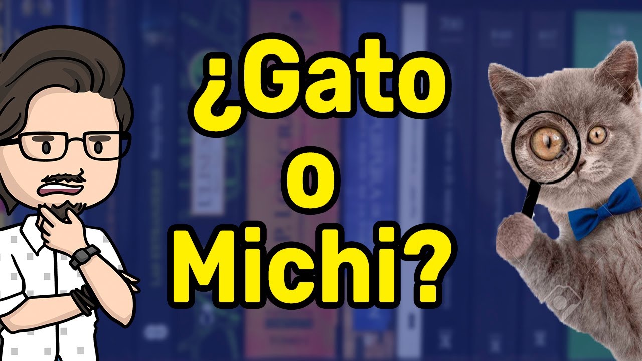 ¿Por qué le decimos "Michi" a los gatos? 😼 - YouTube
