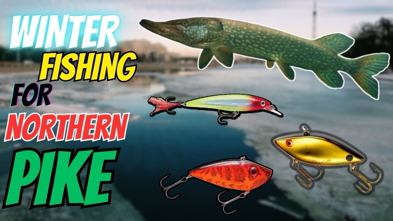 WINTER FISHING for NORTHERN PIKE (small river fishing) - YouTube