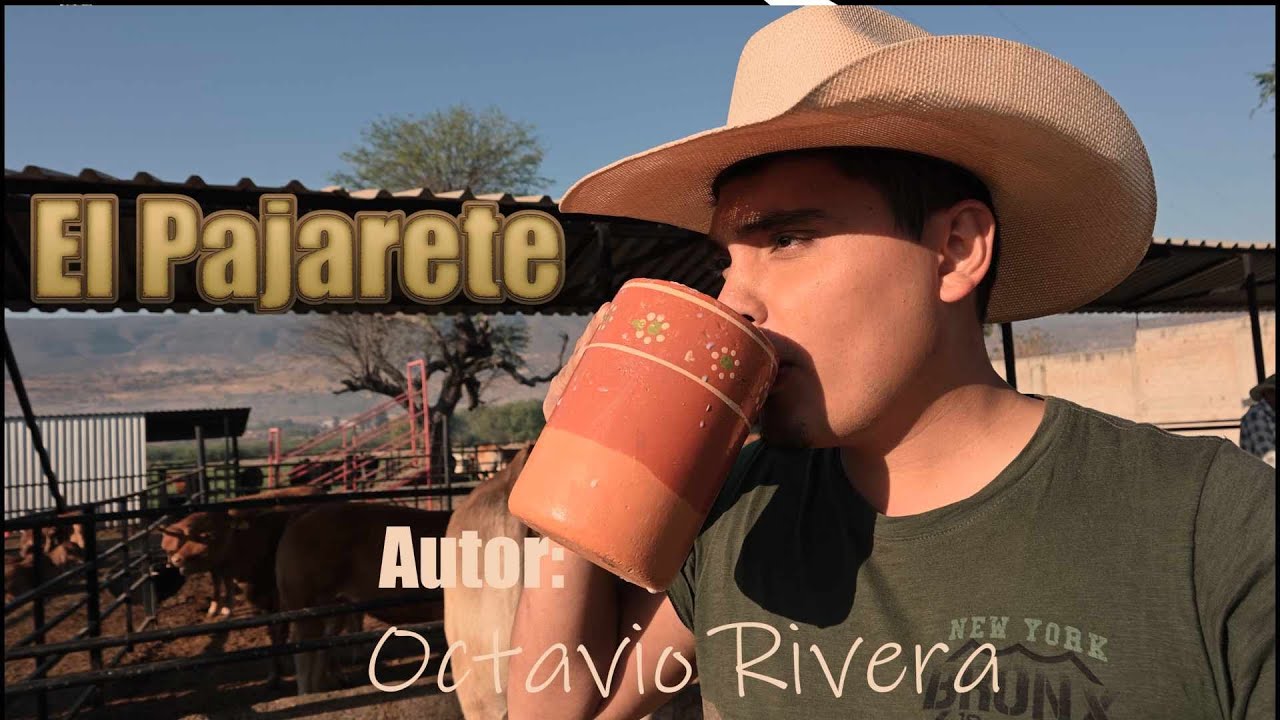 El Pajarete - Grupo Samoyedo - YouTube Music