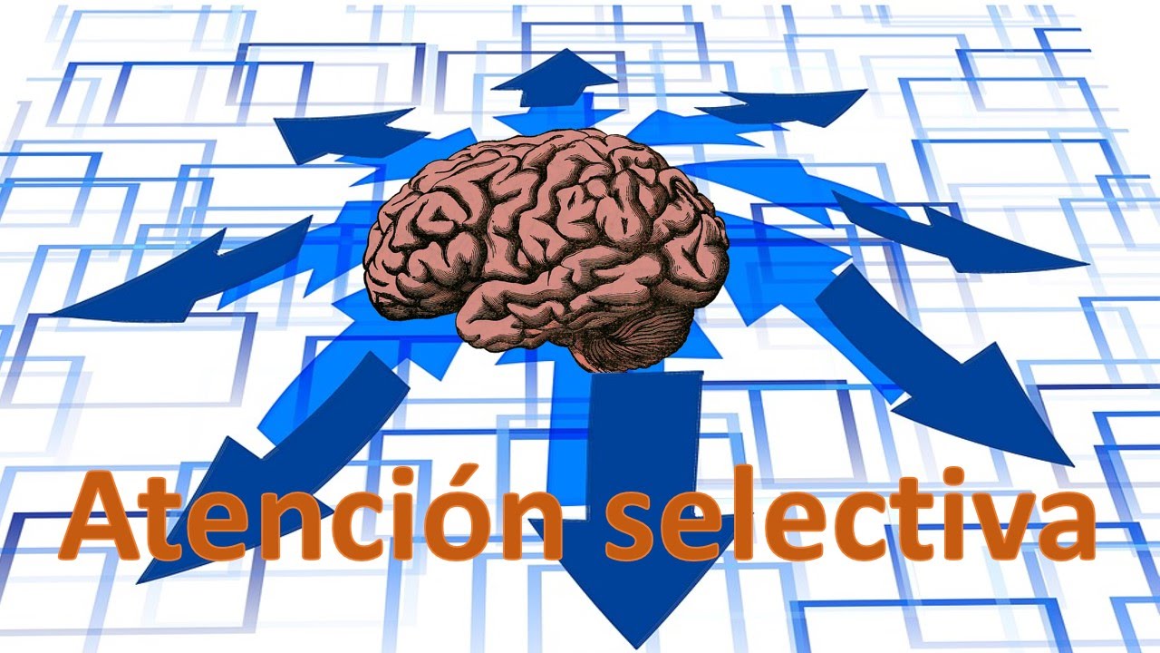 ATENCIÓN SELECTIVA EN LA HIGIENE MENTAL | Victoria Meza | FOCUS ...
