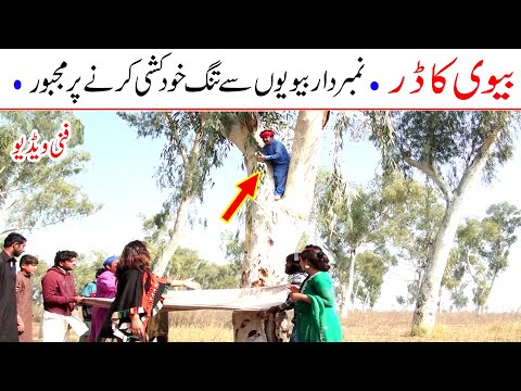 Number Daar Bivi Ka Dar Funny Video | New Top Funny | Must Watch Top New Comedy Video 2022 |You Tv