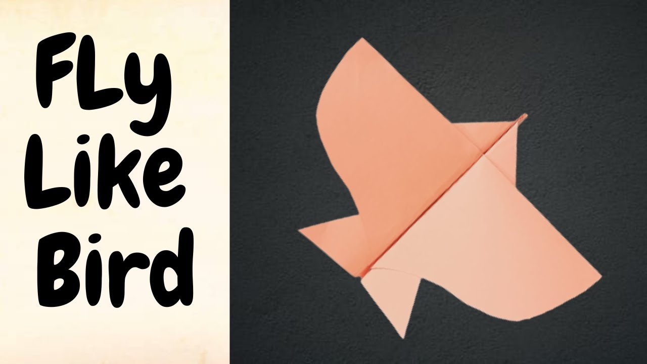 Origami bird paper plane | Fly like a Bird | Craftical era - YouTube
