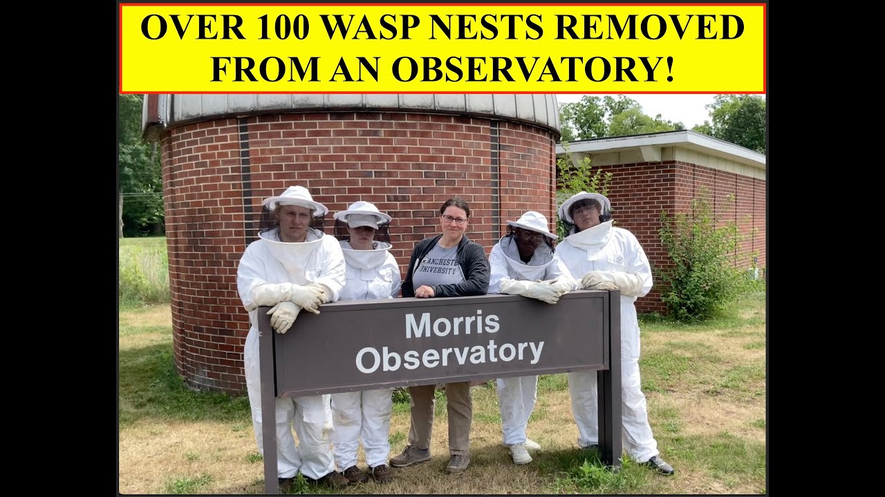OVER 100 WASP NESTS REMOVED FROM AN OBSERVATORY! MANCHESTER UNIVERSITY ...