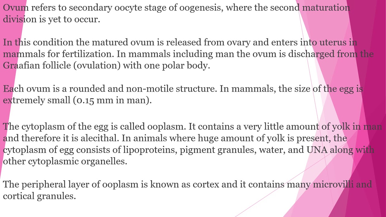 Structure and function of ova/egg - YouTube
