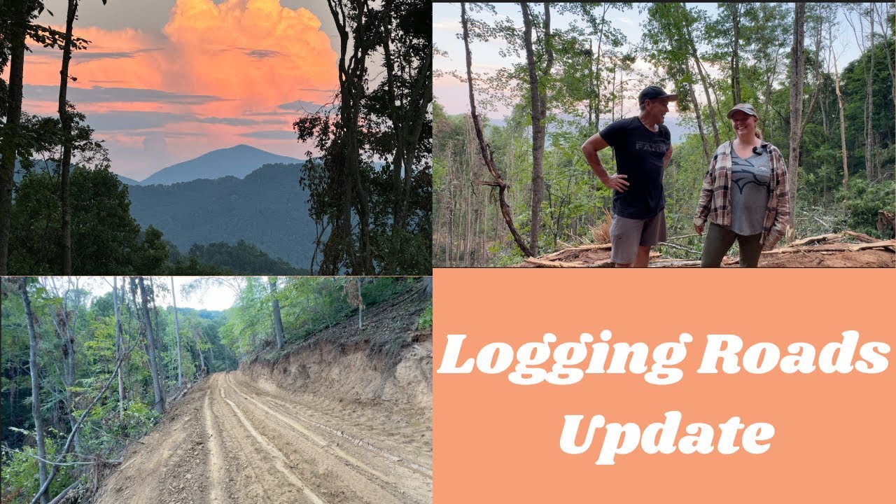 Logging Roads Are Giving Us Access - YouTube