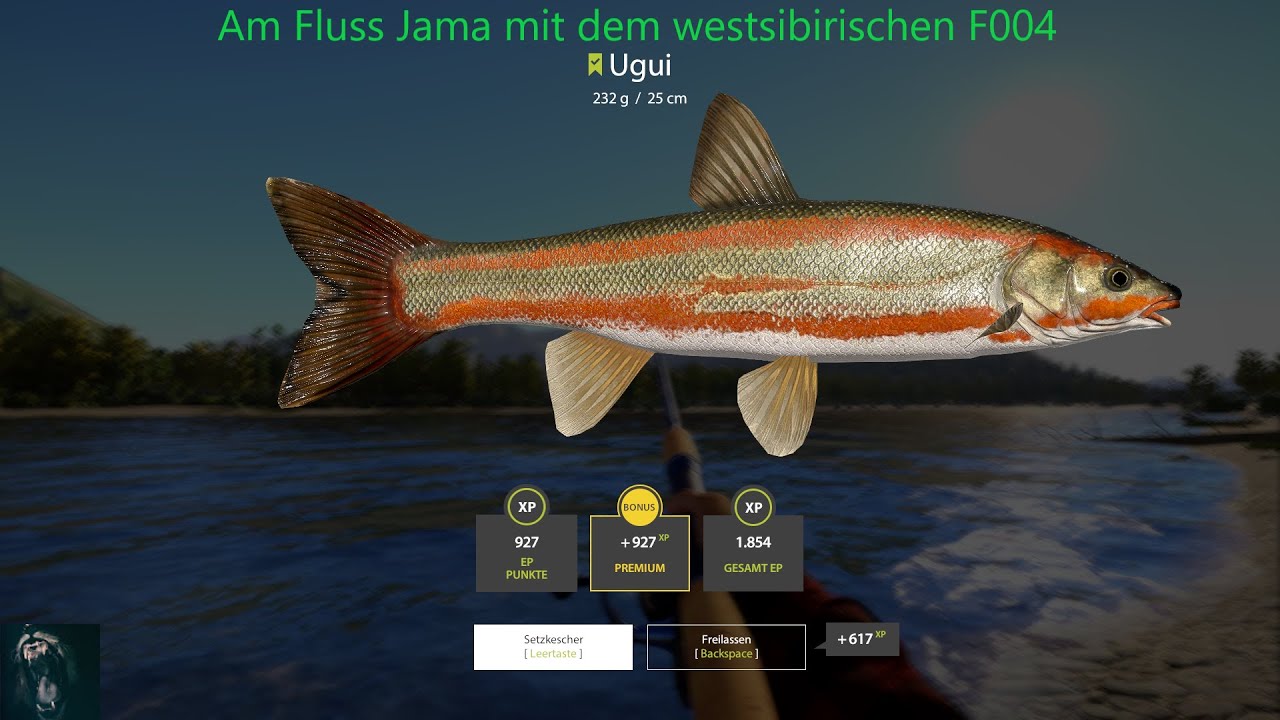 Sehr viele Fischarten heut / Fluss Jama / Russian Fishing 4 - YouTube
