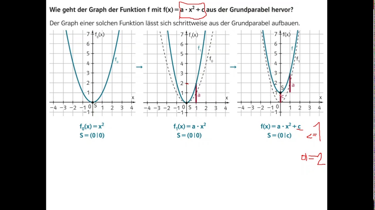 Quadratische Funktionen: Graph und Modellierung (5.Klasse) - YouTube