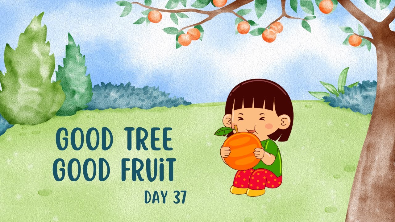 GOOD TREE GOOD FRUIT | DAY 37 - YouTube