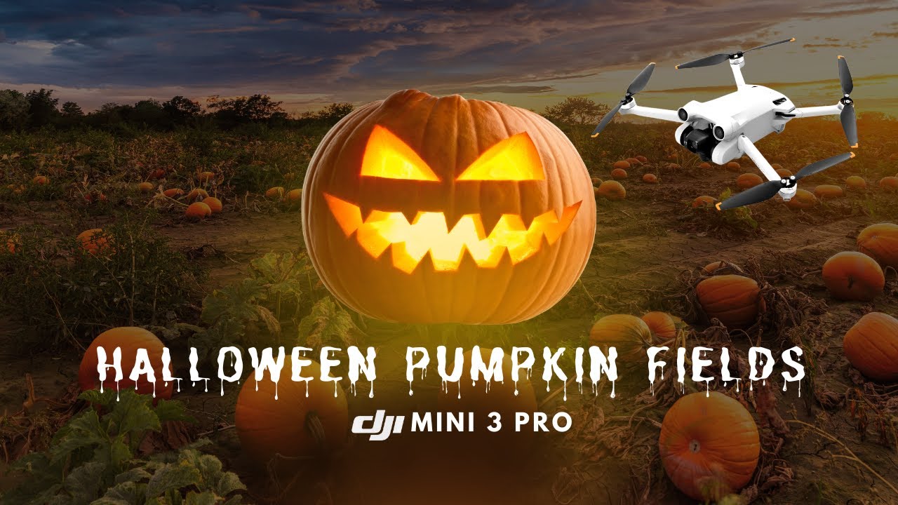 DJI Mini 3 Pro FPV Mode - Halloween Pumpkin Field - YouTube