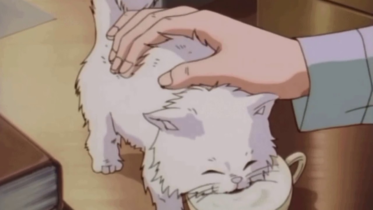 Sir Chloe - animal (slowed reverb) - YouTube