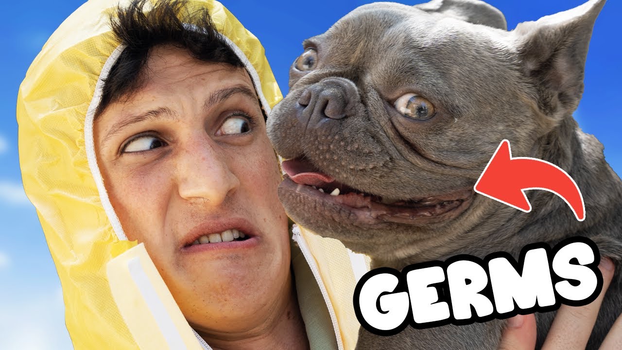 Neat Freak Dog-Sits for a Week - YouTube