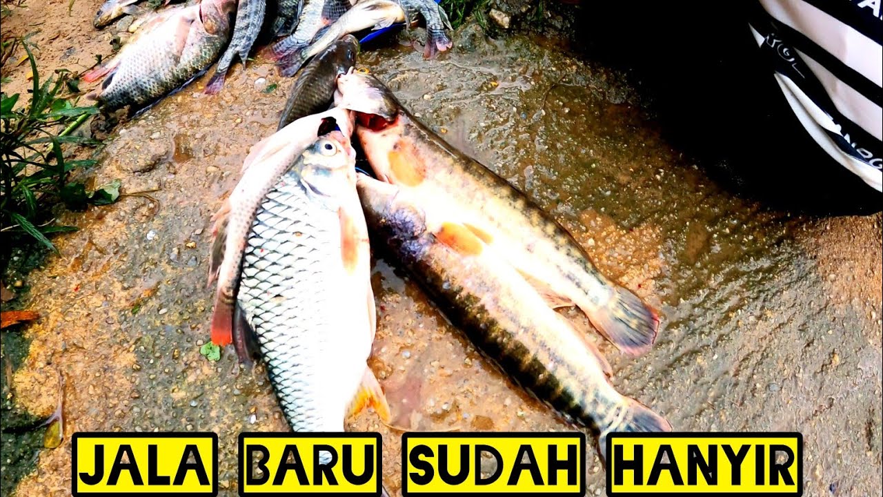 Cuba, Try, Test Jala 50pounds/menjala di sungai bukit jalil #gengdunia ...