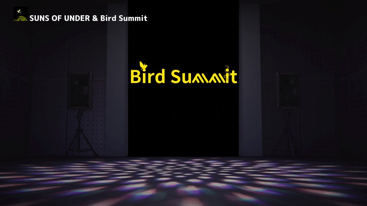 Melodic Techno Mix | Bird Summit - 2024 10/11 - YouTube