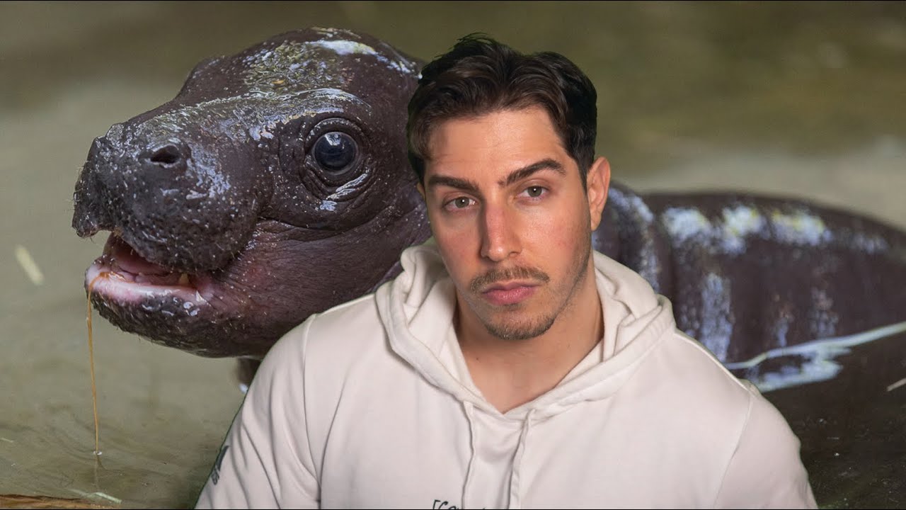 Click before its too late | All time twice songs ranking - YouTube