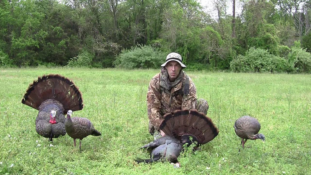 New Jersey Spring Gobbler - First Time Outdoors - YouTube
